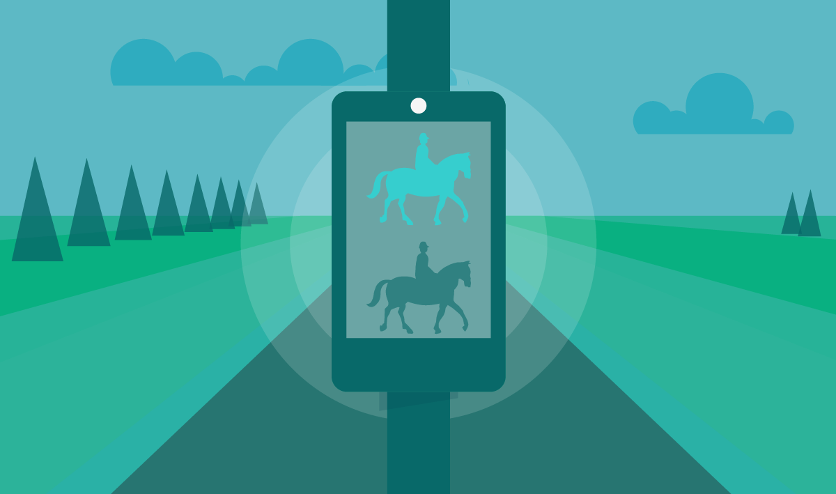 Pegasus crossing: what you need to know | Veygo