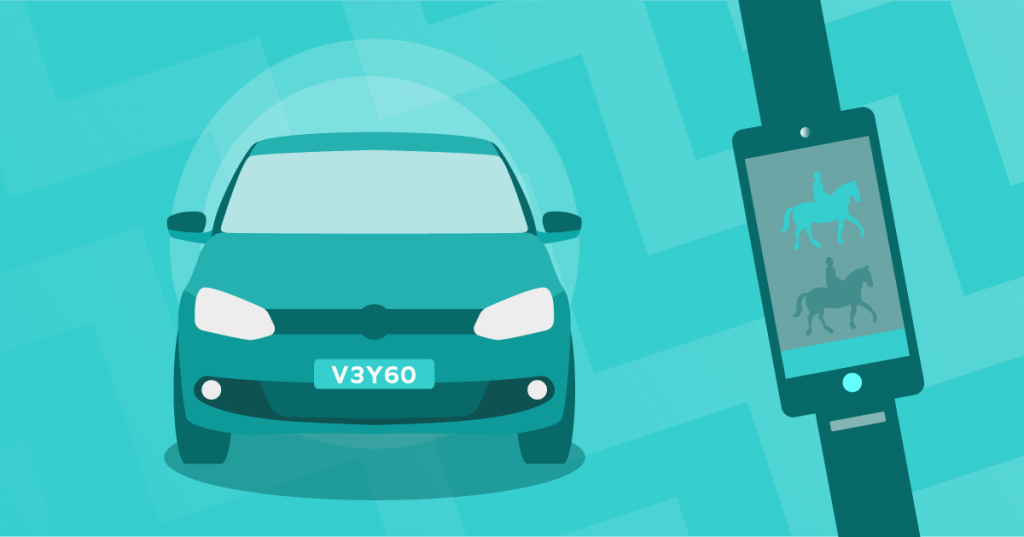 Pegasus crossing: what you need to know | Veygo